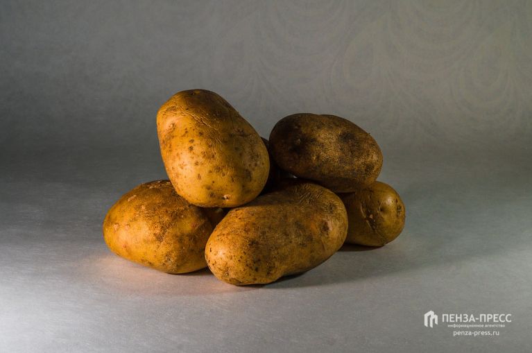 Магазинам предложили продавать россиянам картофель «эконом-класса»
